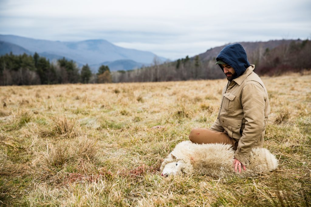 The Butchers meet the Buddha: Conscious meat production today - Radio Cafe