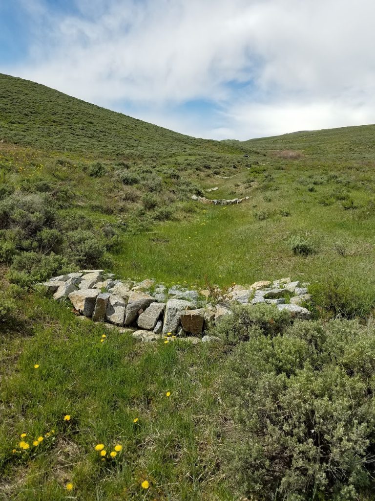 Zeedyk dam - Radio Cafe