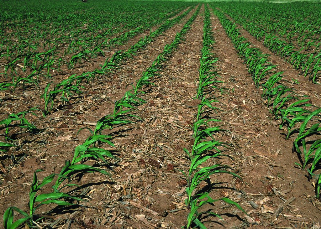 Why is so much topsoil disappearing, and how can we reverse the trend ...