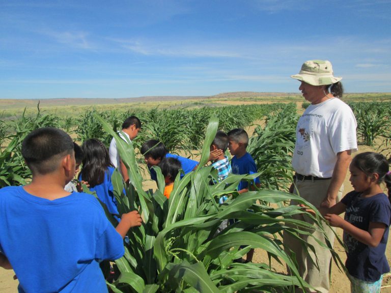 Hopi farming: a 2000-year-long agriculture experiment - Radio Cafe