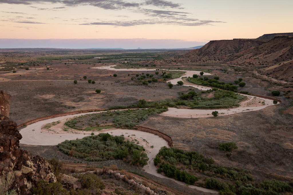 Restoring resilience on native land - Radio Cafe