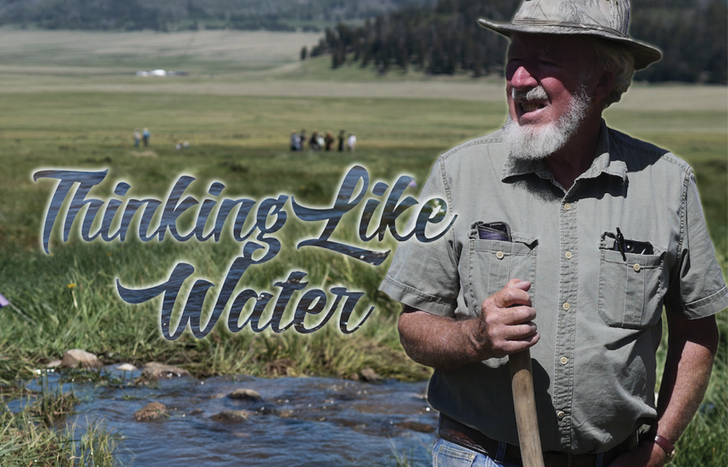 Landscape restoration: letting nature do the work - Radio Cafe