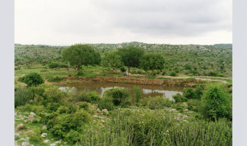 Let it Flow: Restoring balance to parched and flooded landscapes ...